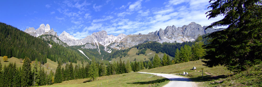 Alpine Financial Consultancy